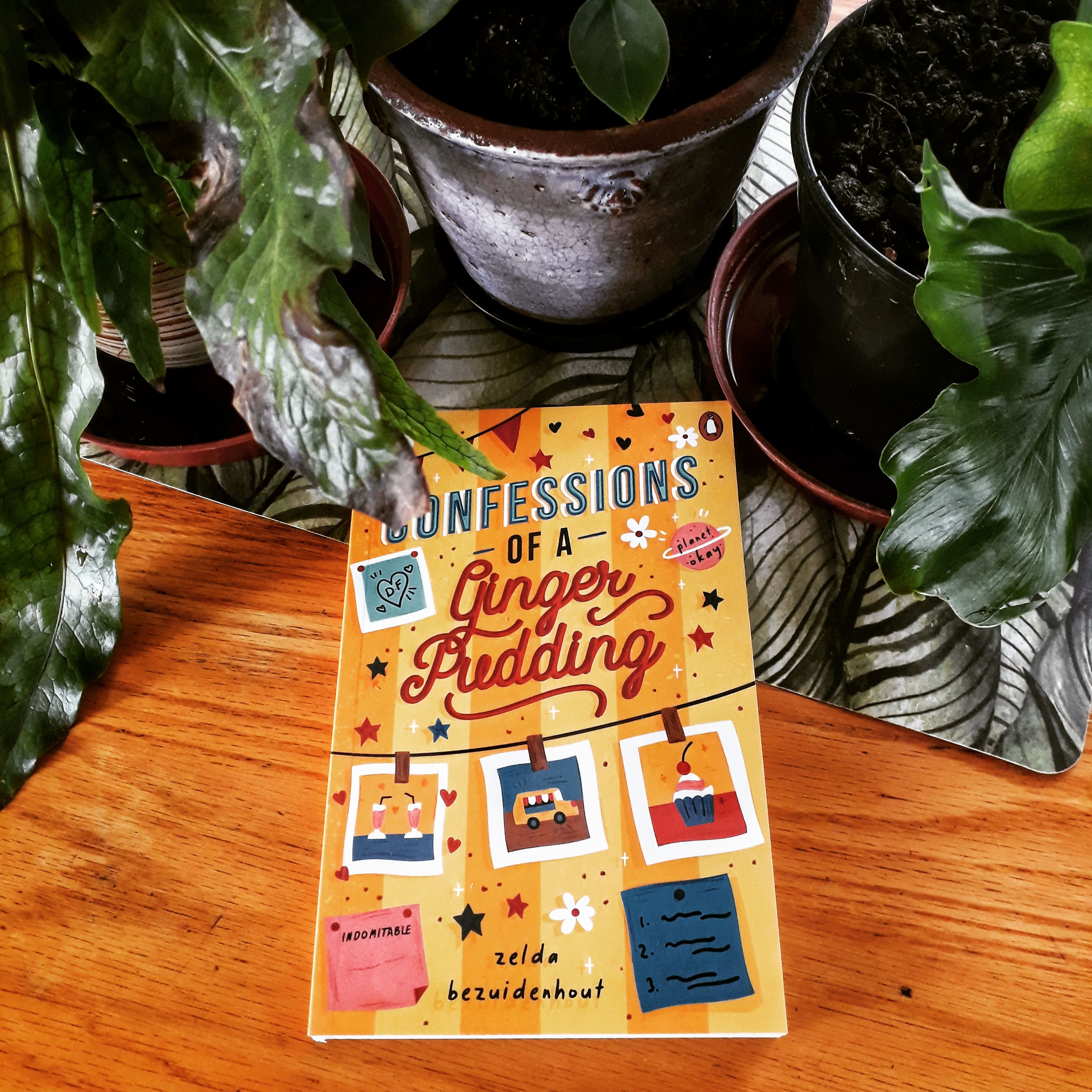LEGO Book Review: Confessions of a Ginger Pudding – Sally Partridge