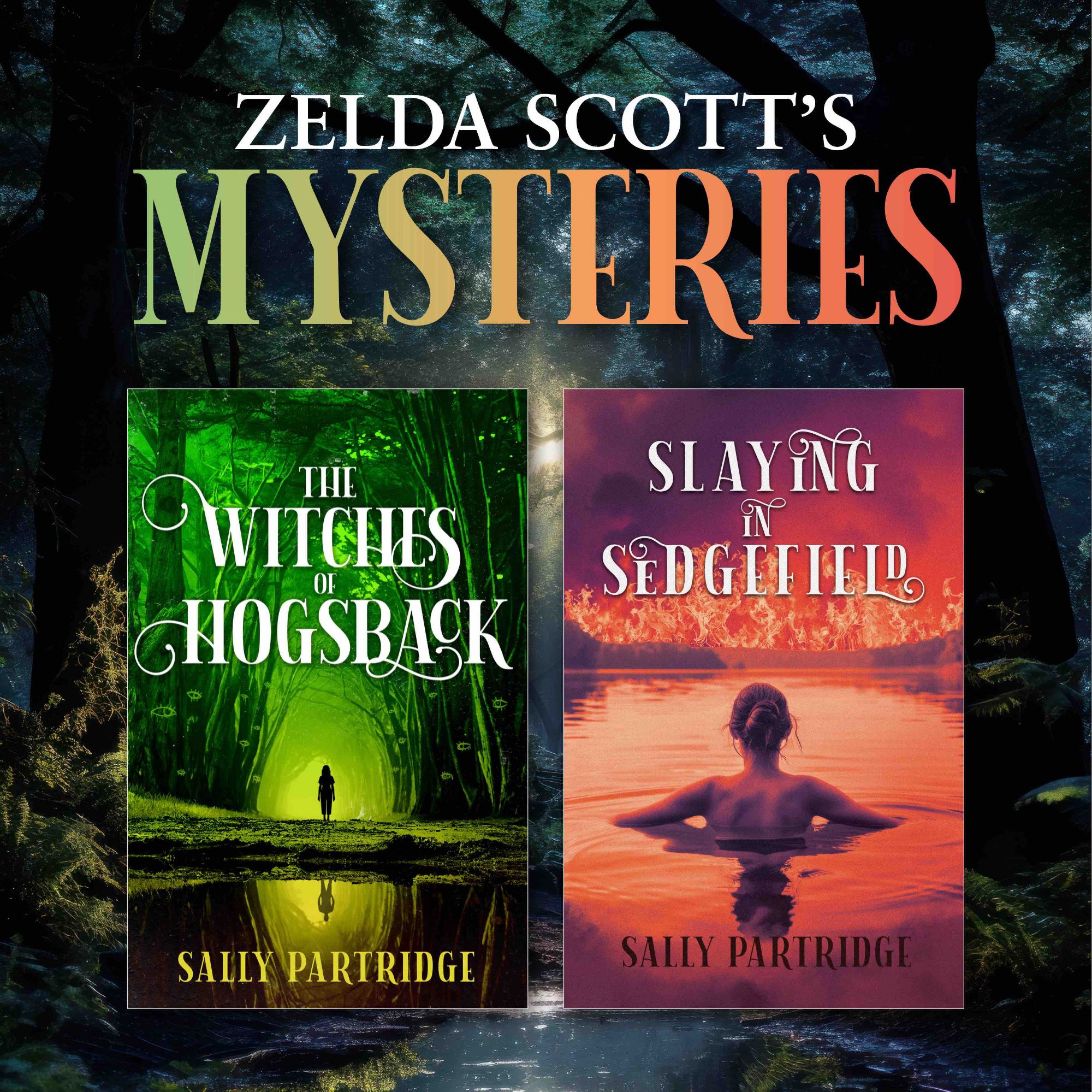 Sally Partridge – Award-winning South African novelist